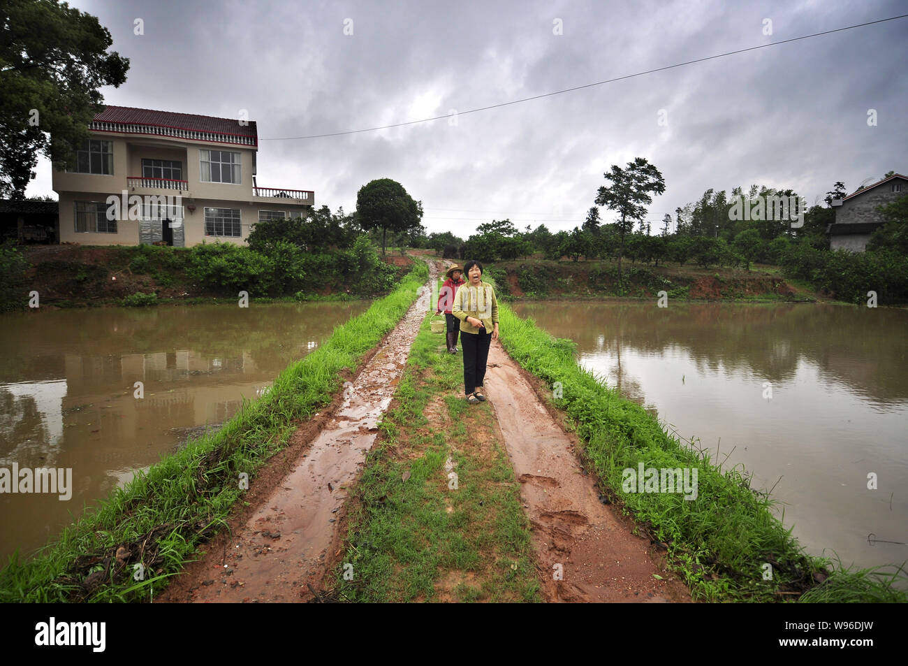 Chinese farmers walk past their farms submerged by floods caused by ...