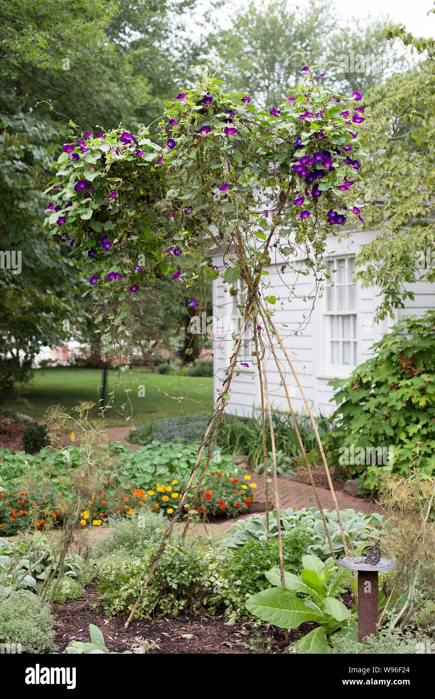 The garden at Headquarters House in Fayetteville, Arkansas, USA Stock ...