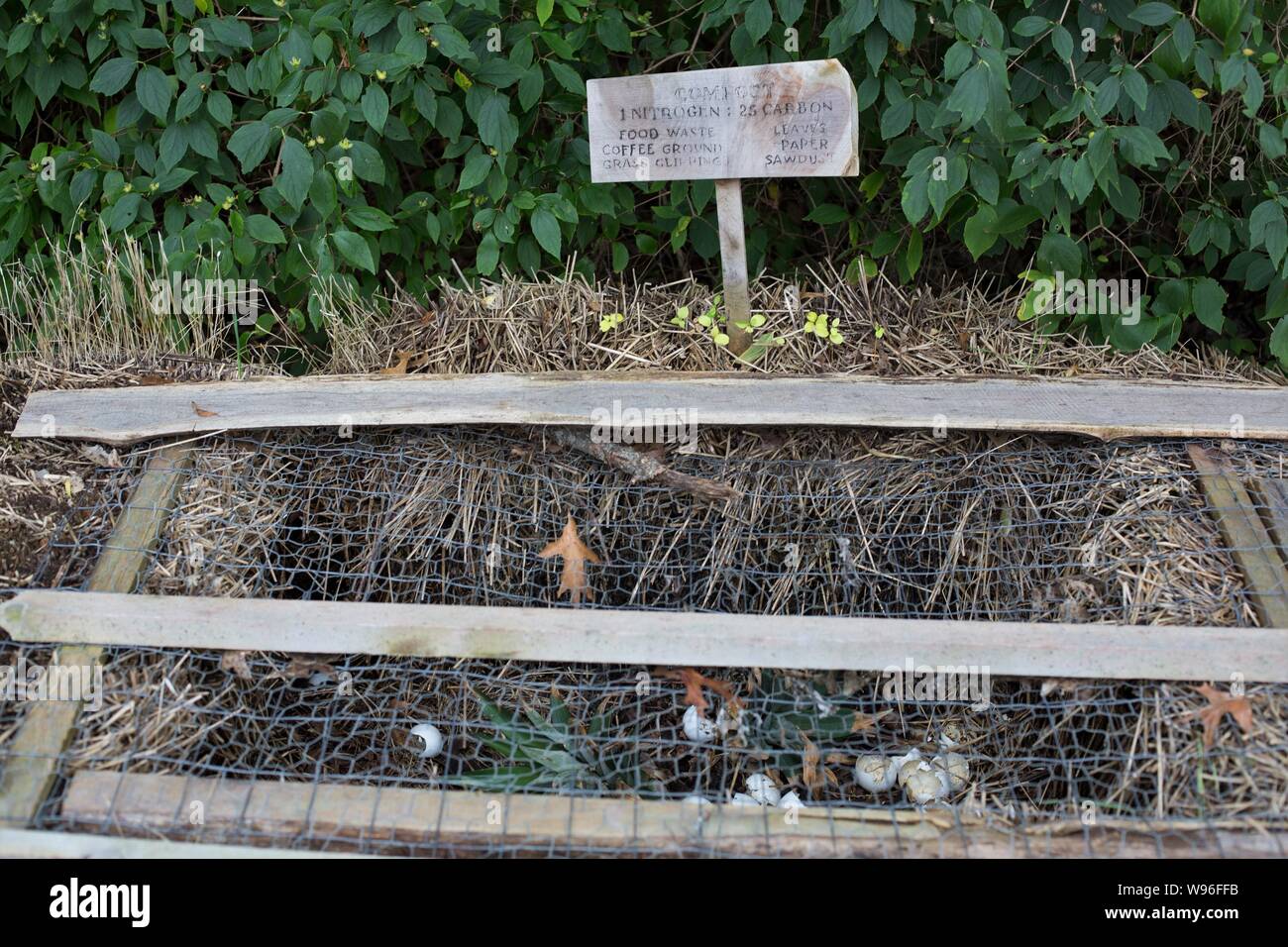 Egg shell shells hi-res stock photography and images - Alamy