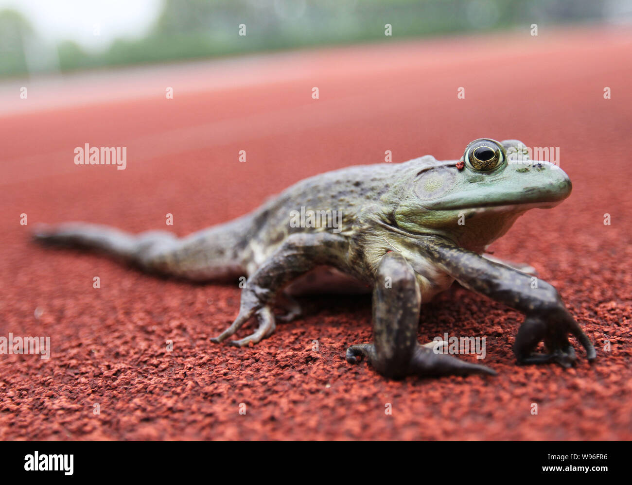 6 ye hi-res stock photography and images - Alamy