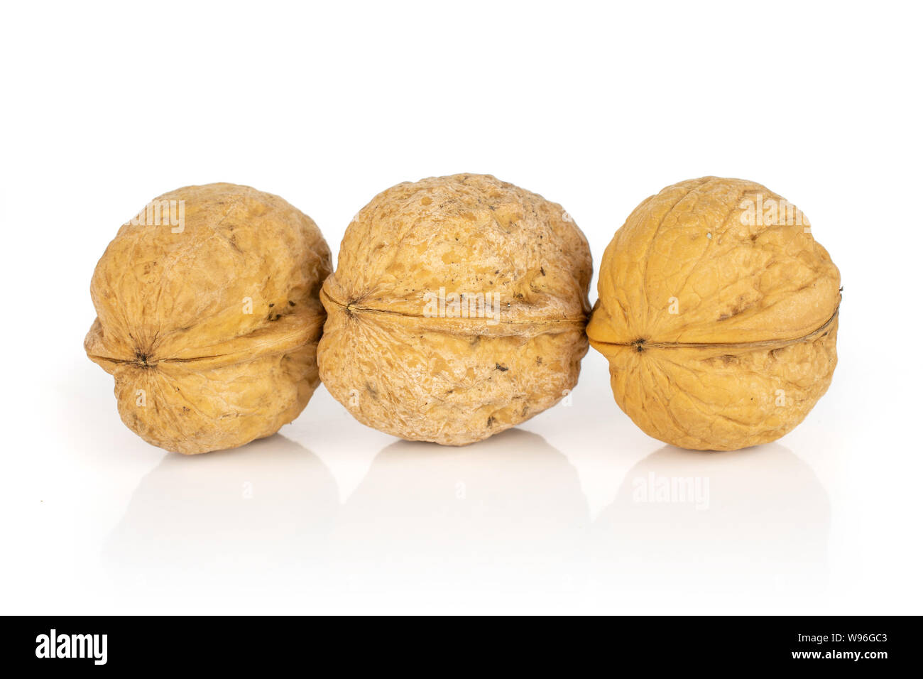 Group of three whole ripe brown walnut in row isolated on white ...