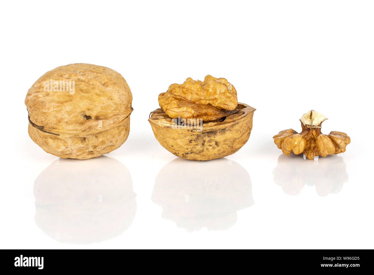 Group of two whole one half of ripe brown walnut in row isolated on ...