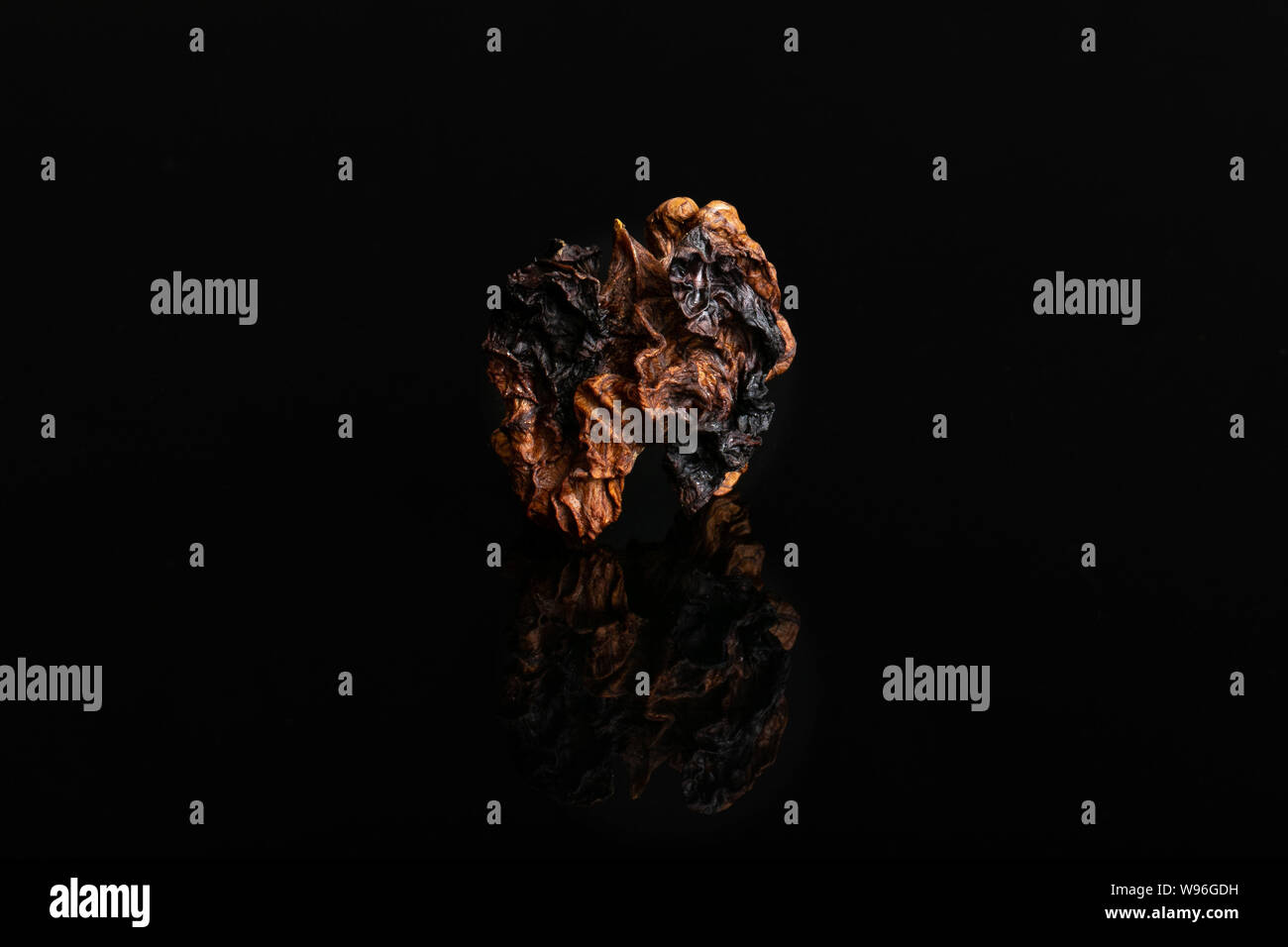 Rotten walnut hi-res stock photography and images - Alamy