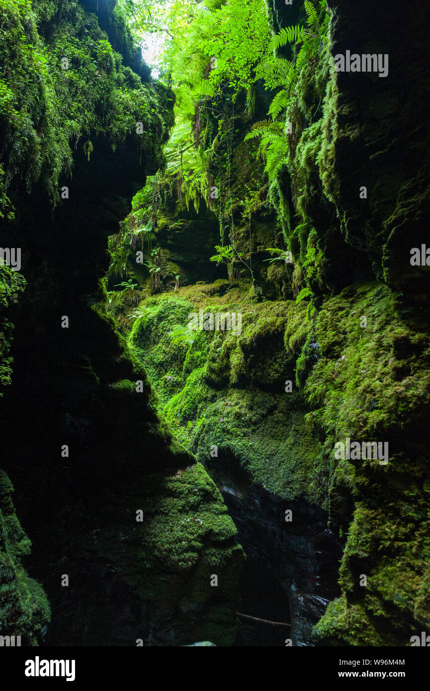 Some scenic point in the Devil's Cauldron, Lydford Gorge, Dartmoor ...