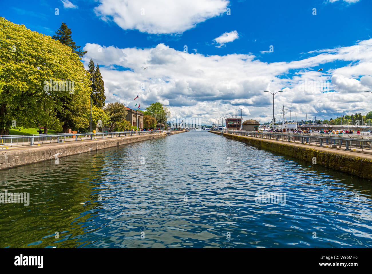 Ballard locks salmon hi-res stock photography and images - Alamy