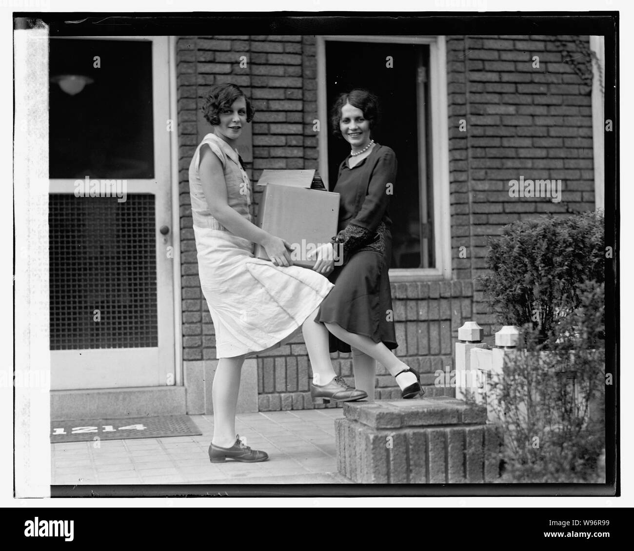 American tree Black and White Stock Photos & Images - Alamy