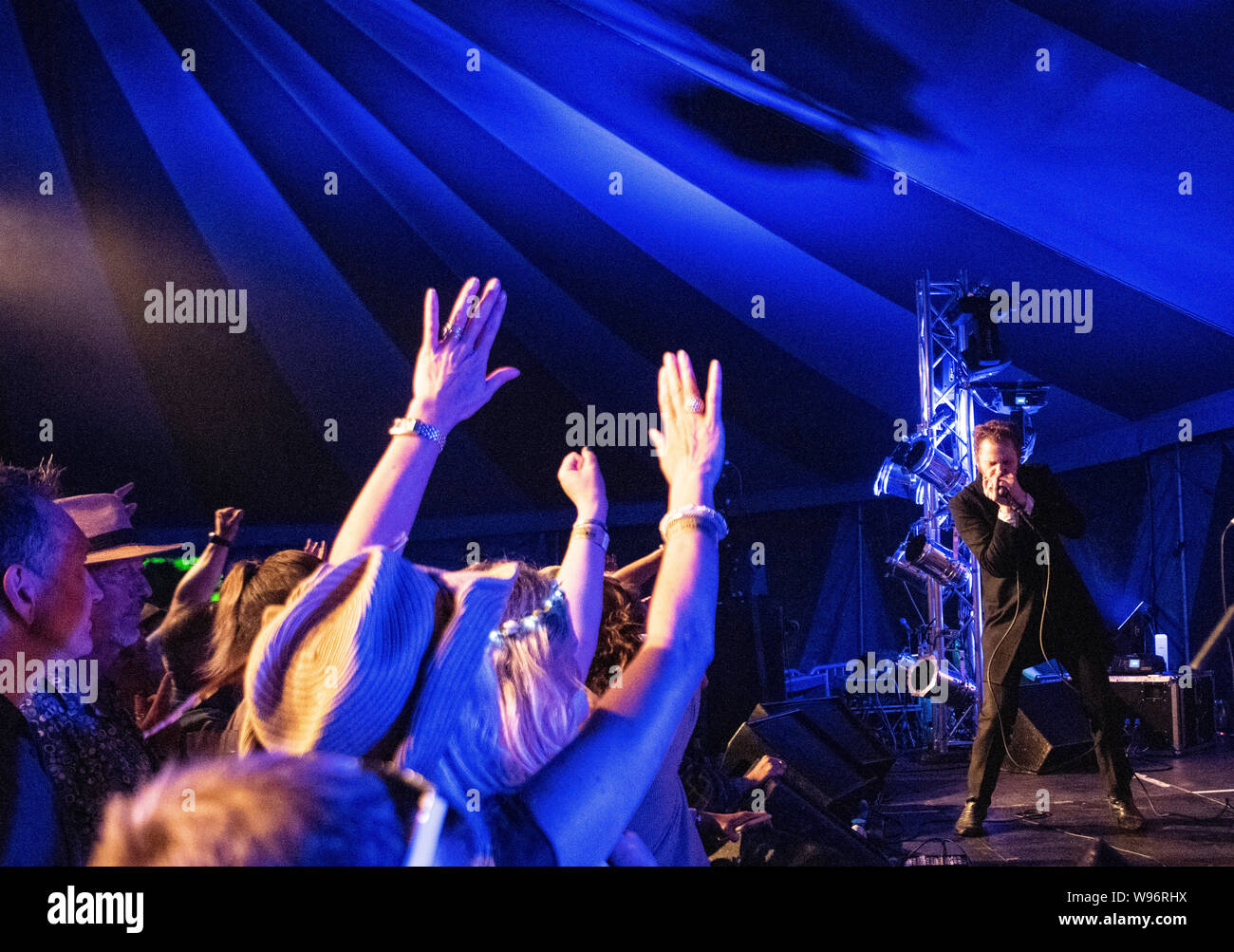 Daddy Long Legs Live in England Stock Photo - Alamy