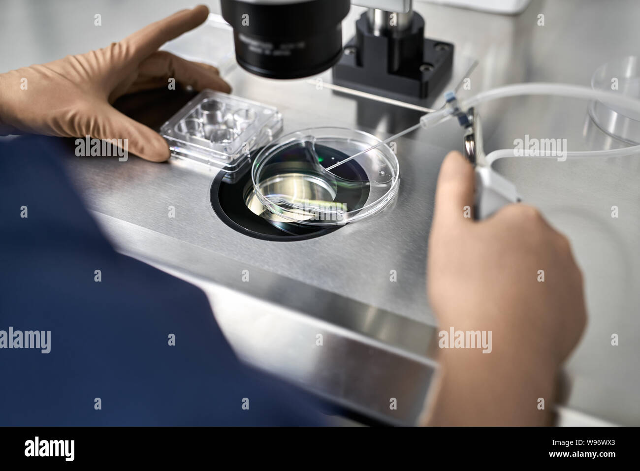 Process of in vitro fertilization in laboratory Stock Photo - Alamy