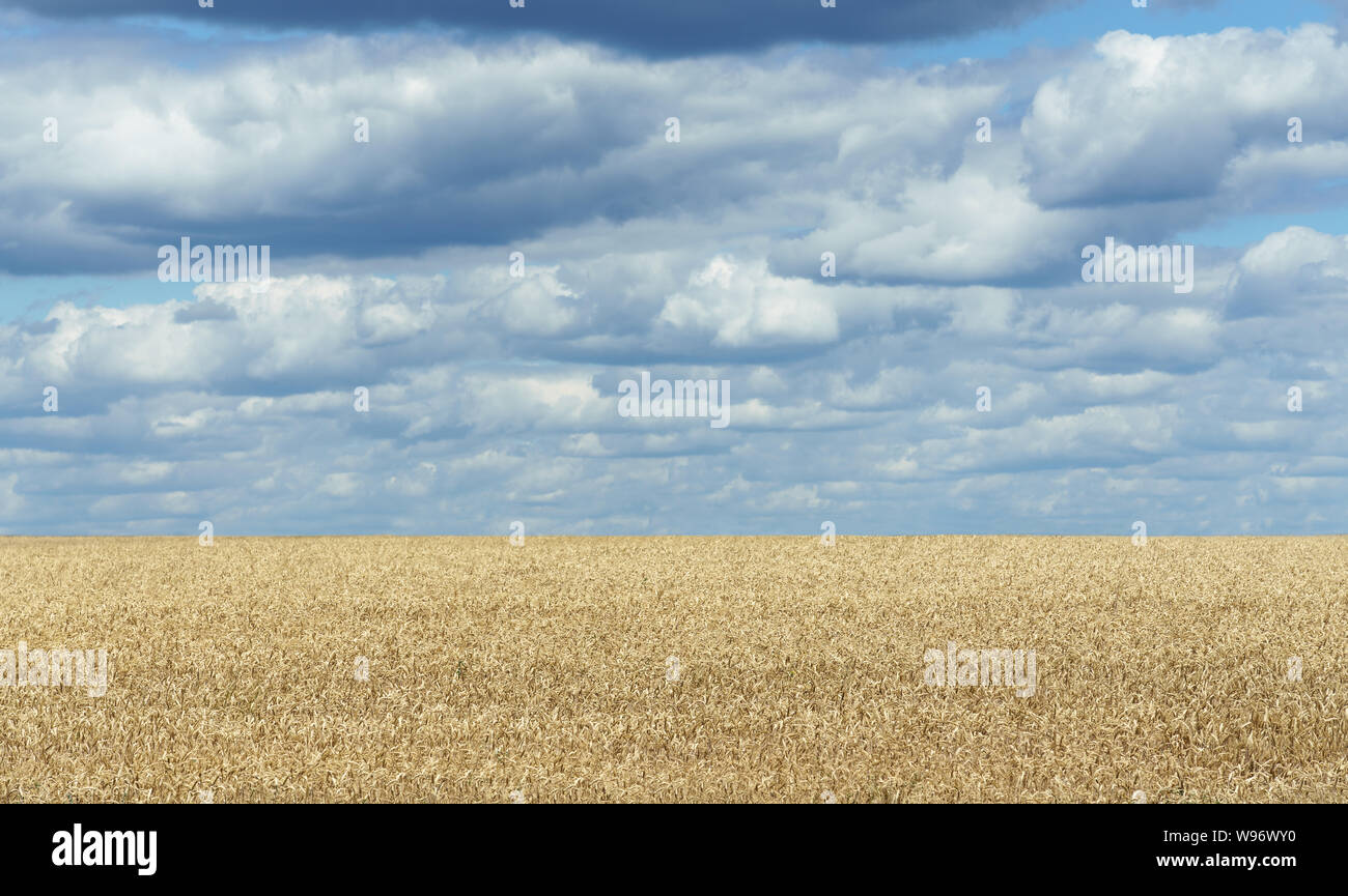 Field horizon hi-res stock photography and images - Alamy