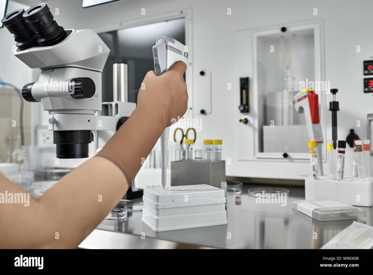 Process of in vitro fertilization in laboratory Stock Photo - Alamy