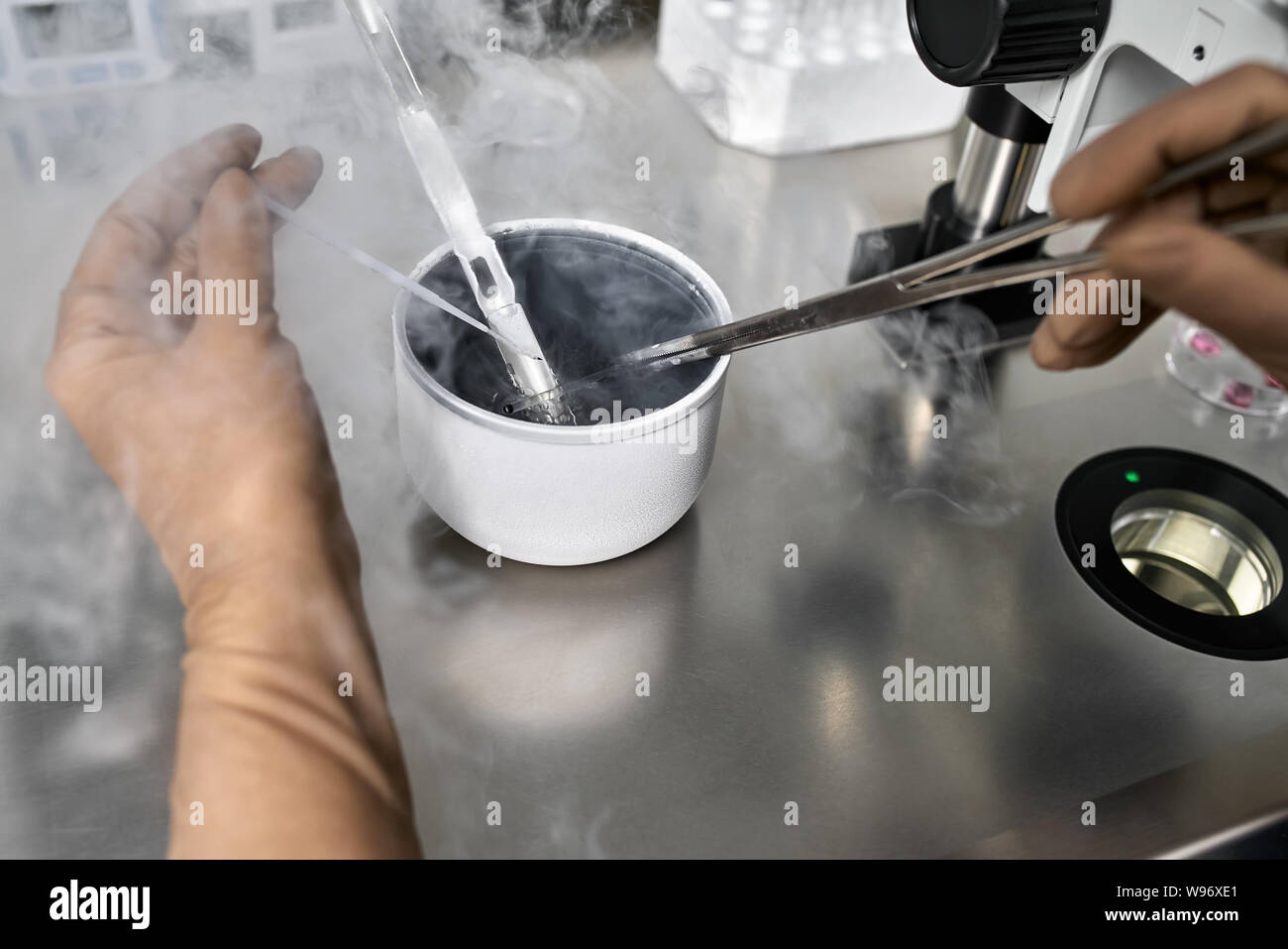 Process of in vitro fertilization in laboratory Stock Photo - Alamy
