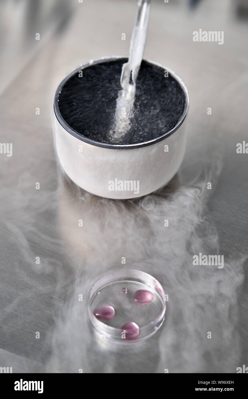 Process of in vitro fertilization in laboratory Stock Photo - Alamy