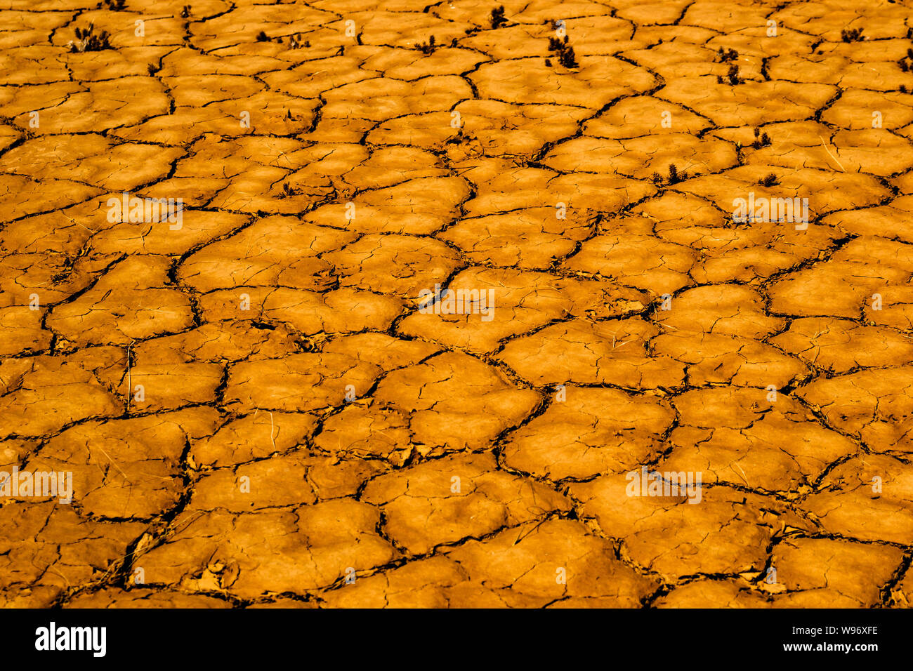 Deep fissures hi-res stock photography and images - Alamy