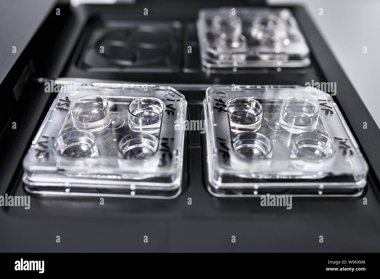Ivf incubator hi-res stock photography and images - Alamy