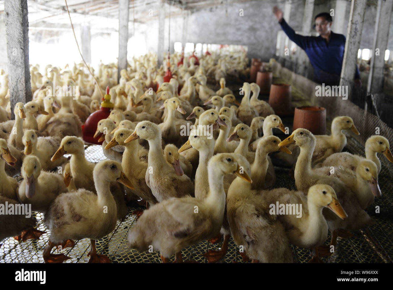 Tugou hi-res stock photography and images - Alamy