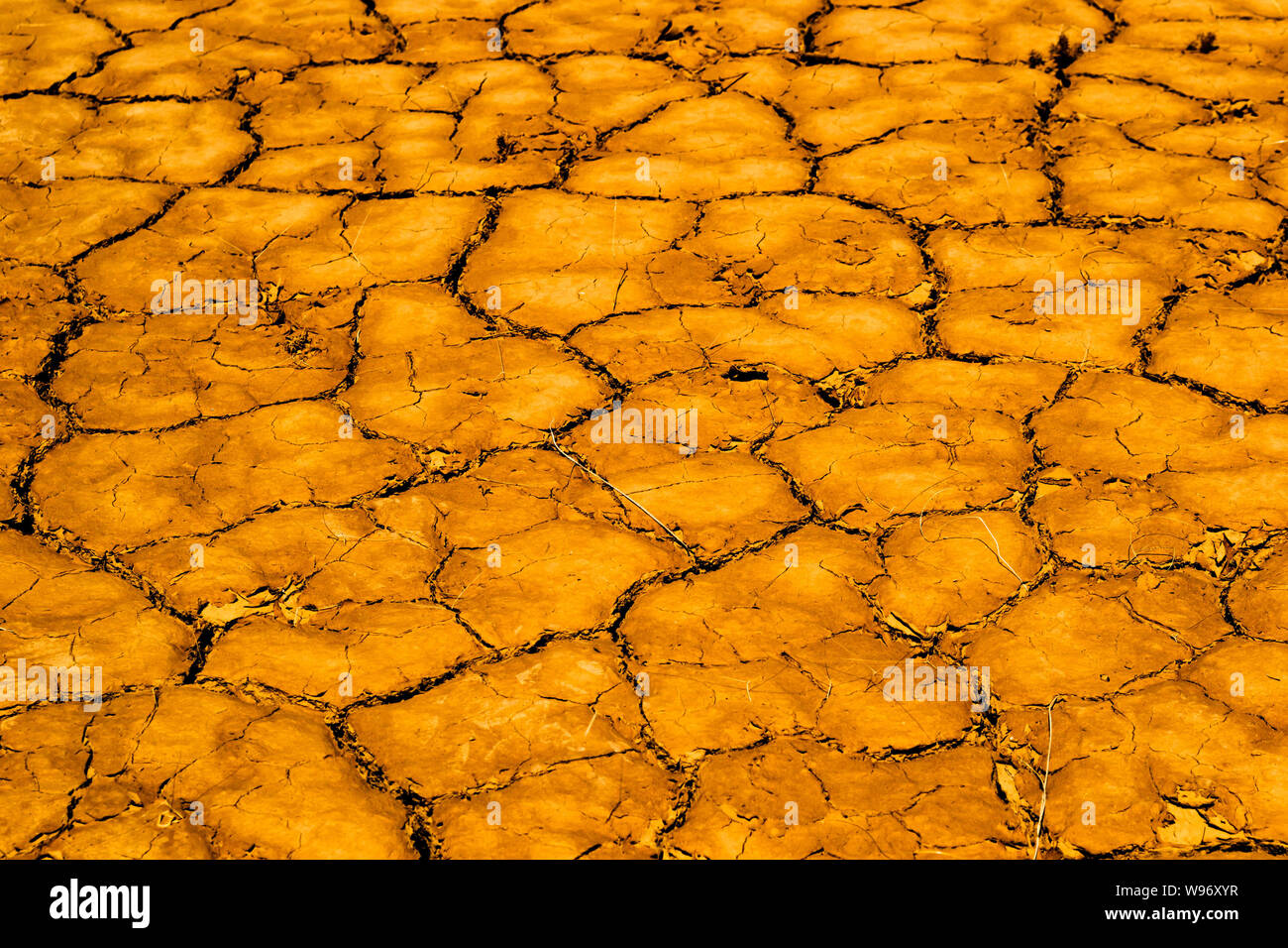 Deep fissures hi-res stock photography and images - Alamy