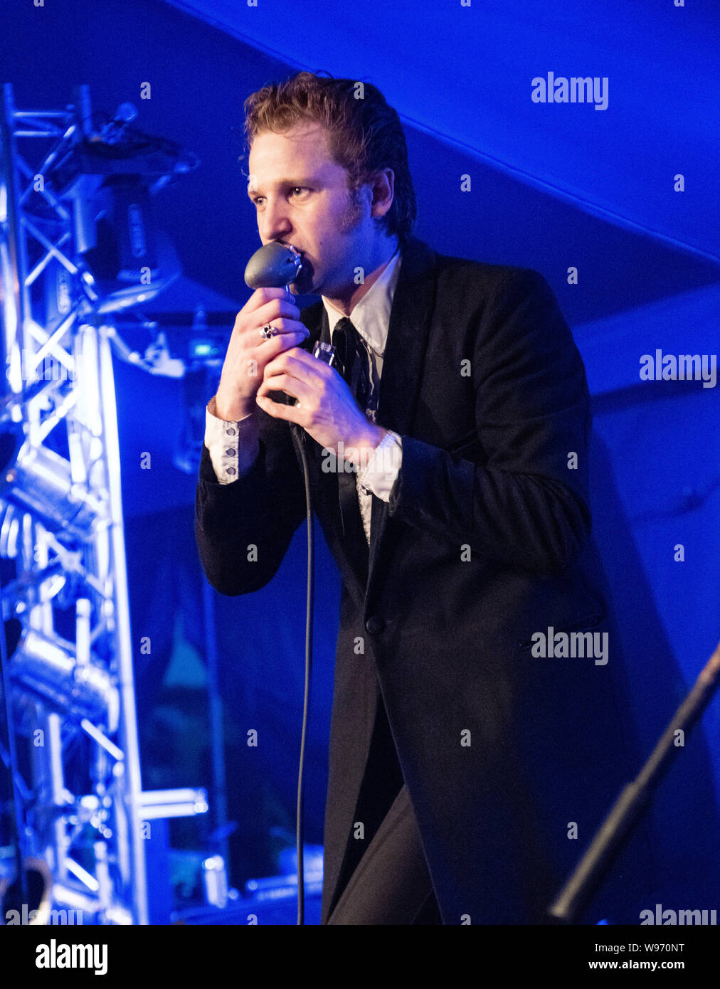 Daddy Long Legs Live in England Stock Photo - Alamy