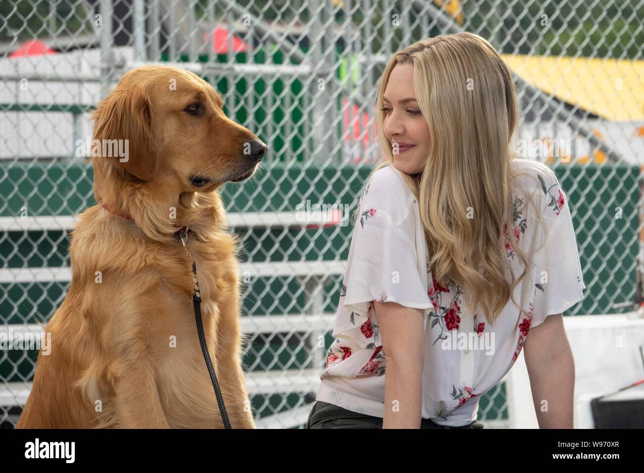 THE ART OF RACING IN THE RAIN, from left: Enzo (voice: Kevin Costner ...