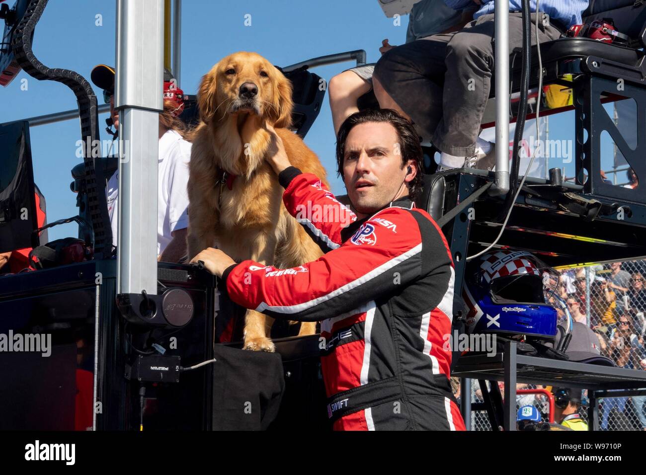 THE ART OF RACING IN THE RAIN, from left: Enzo (voice: Kevin Costner ...