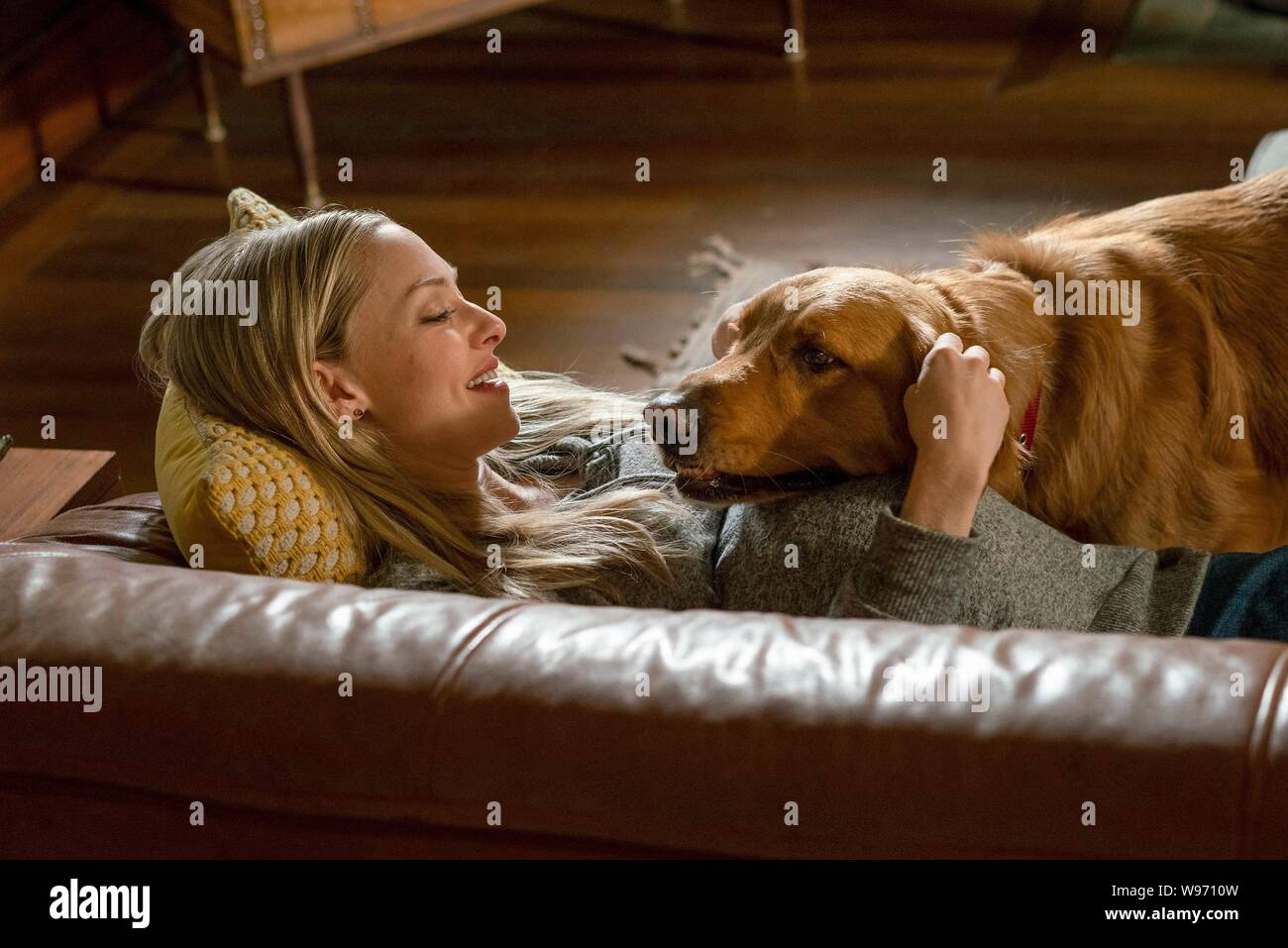 THE ART OF RACING IN THE RAIN, from left: Amanda Seyfried, Enzo (voice ...