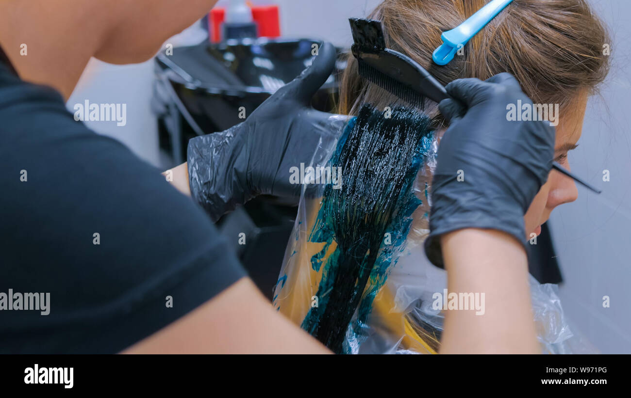 Professional hairdresser coloring hair of woman client at studio Stock ...