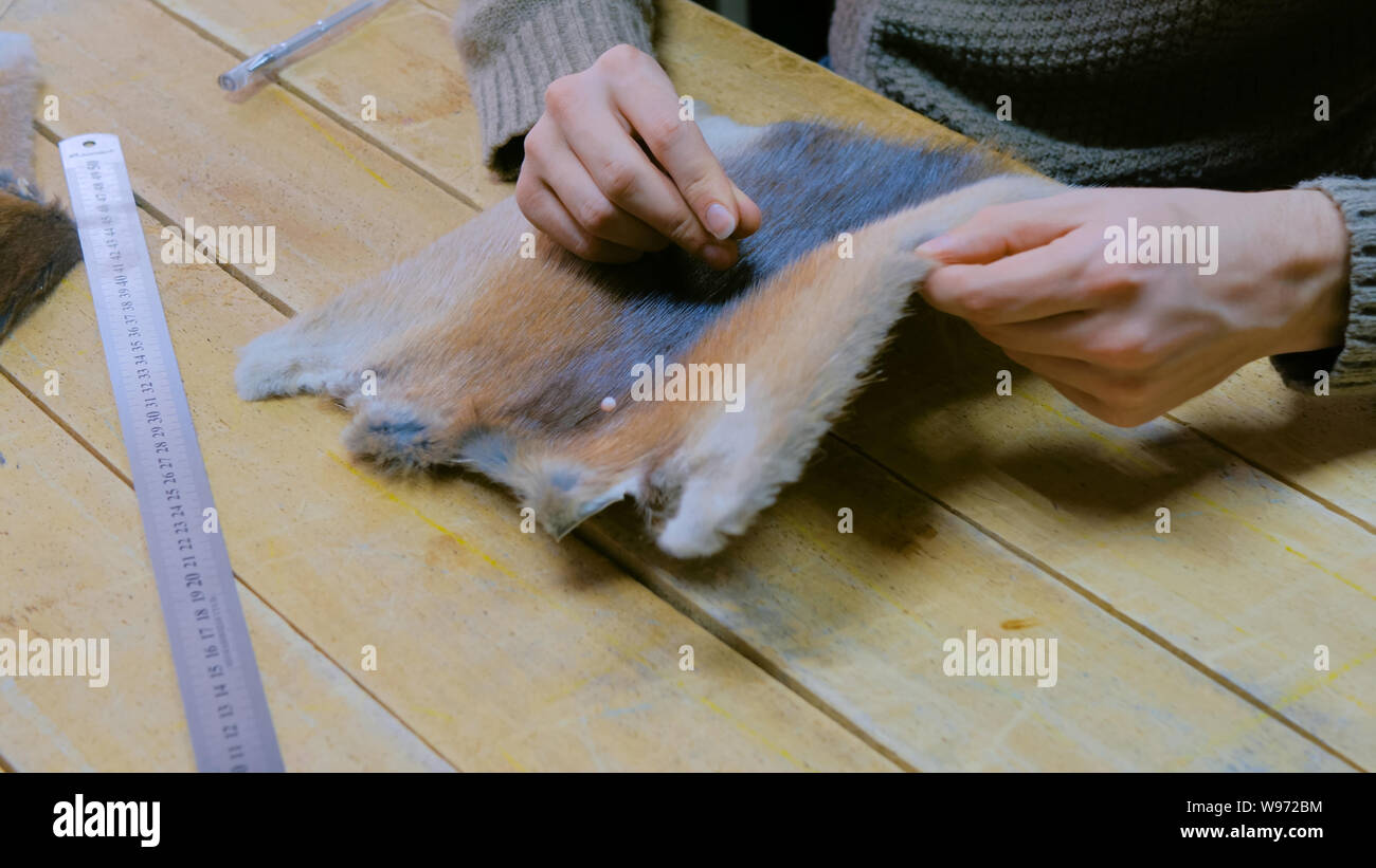 Skinner working with mink fur skin Stock Photo - Alamy