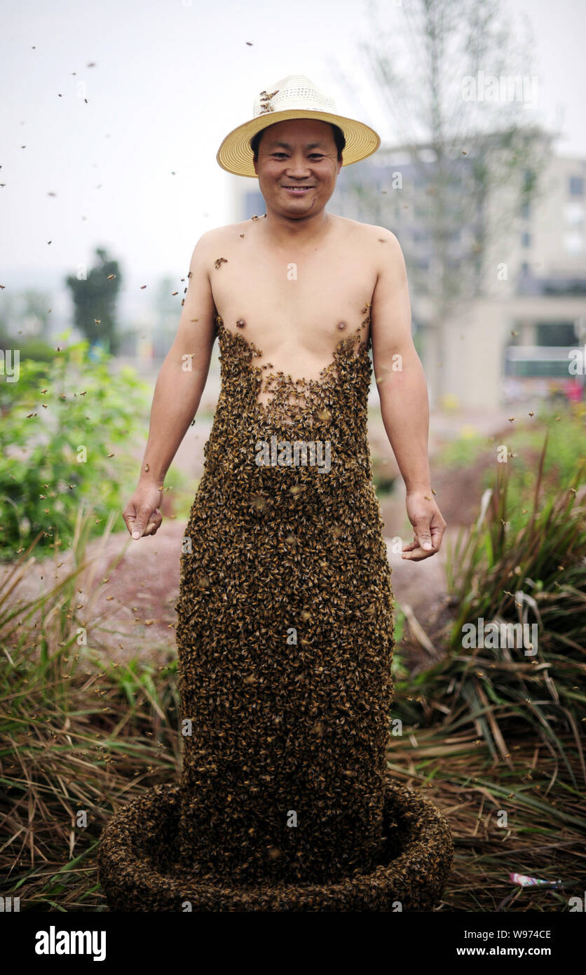 China chongqing beekeeping hi-res stock photography and images - Alamy