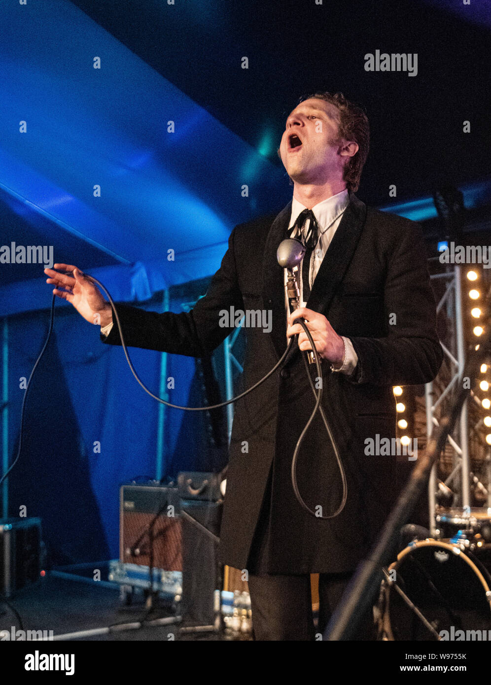 Daddy Long Legs Live in England Stock Photo - Alamy