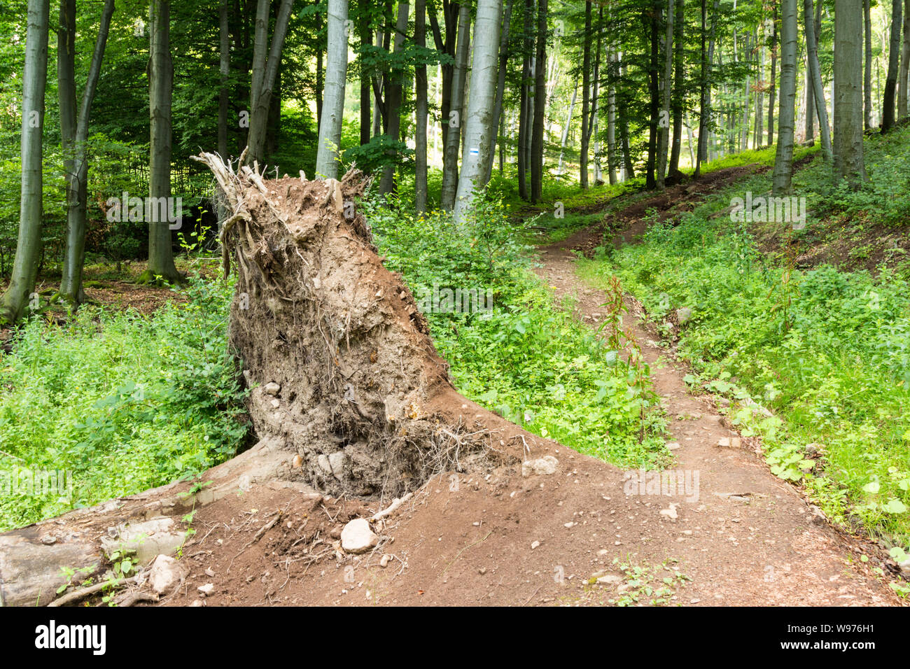 Hit the slope hi-res stock photography and images - Alamy