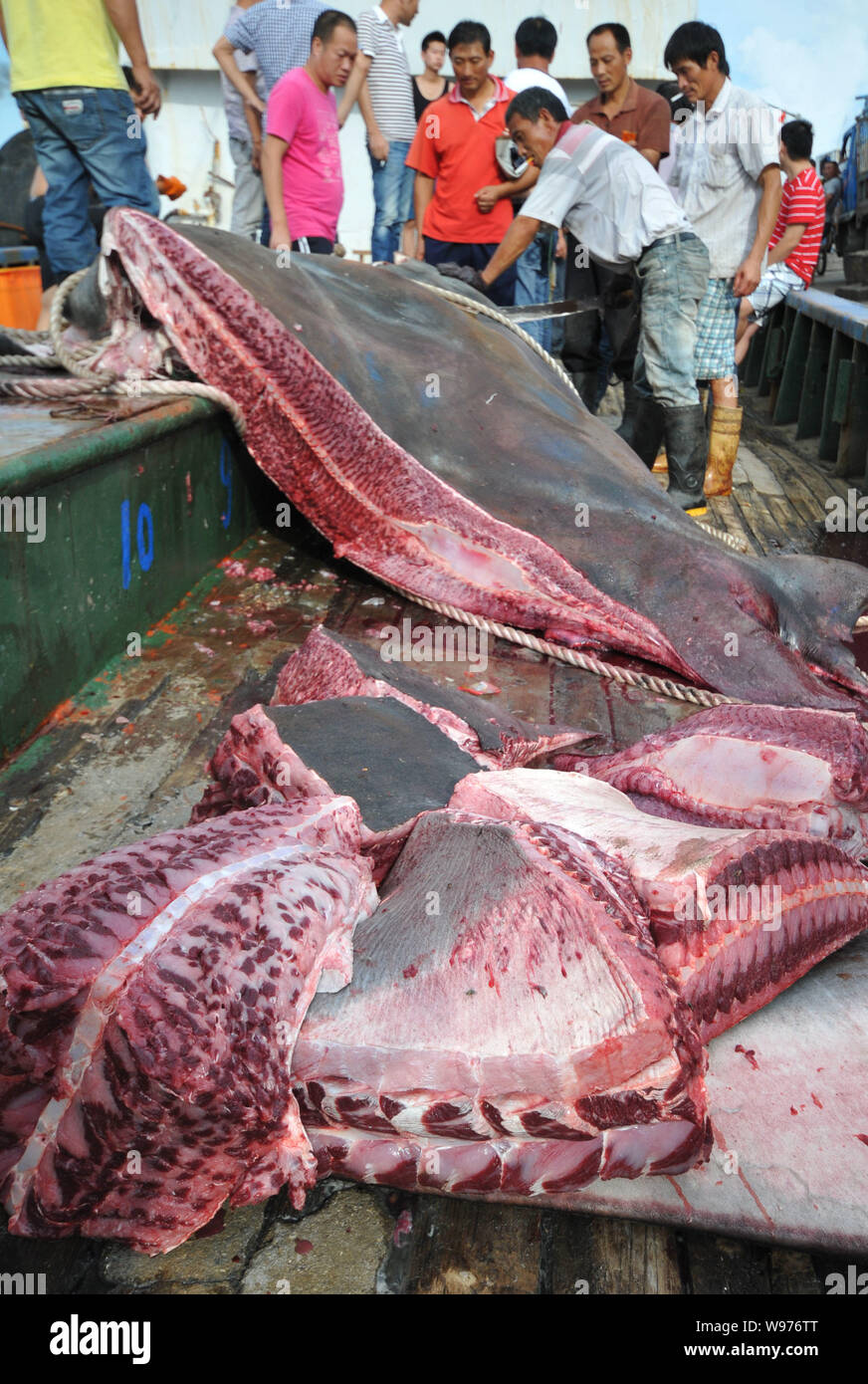 Stingray meat hi-res stock photography and images - Alamy
