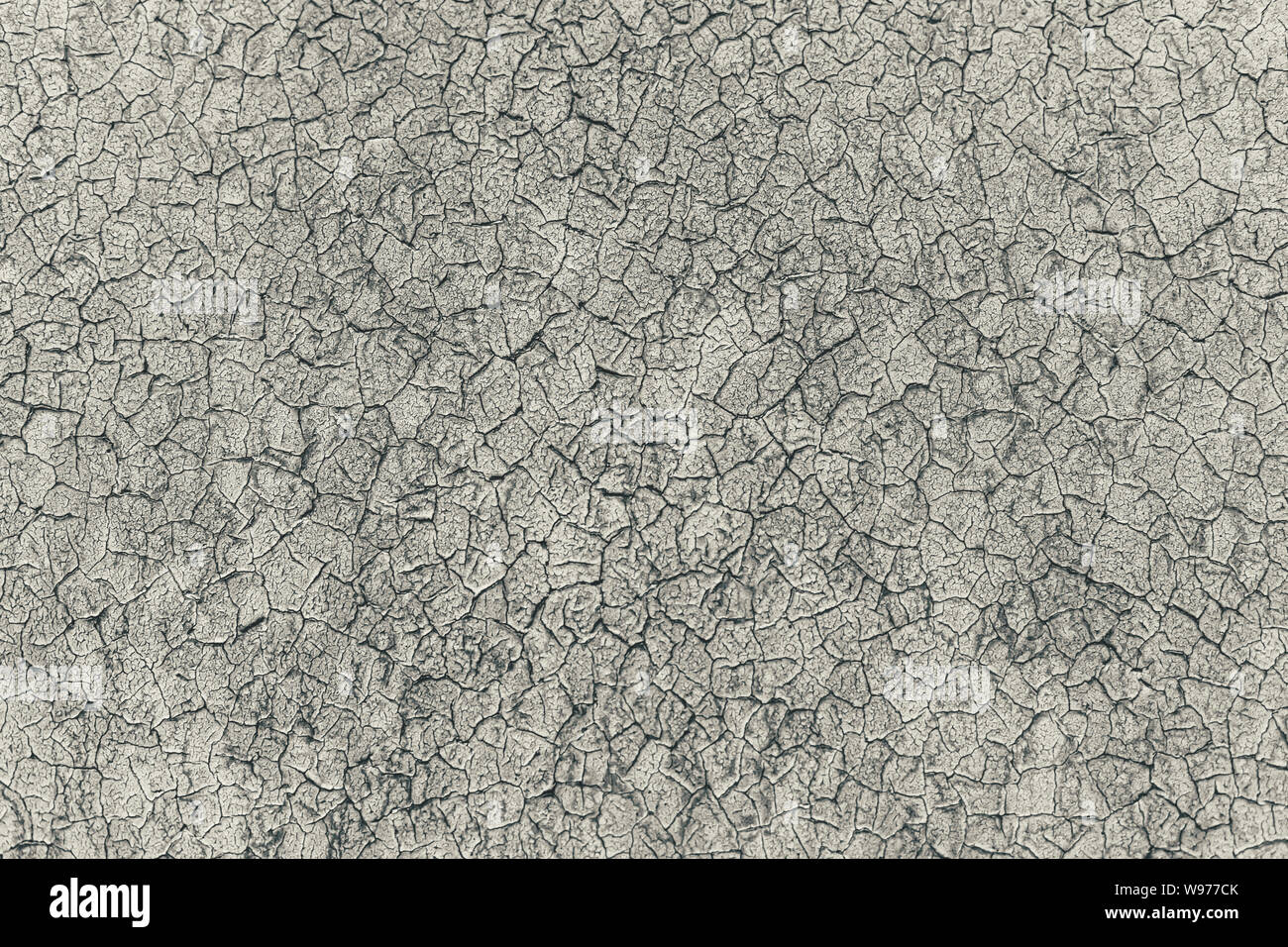 Grey rustic texture background with craquelure. Monochrome Stock Photo ...