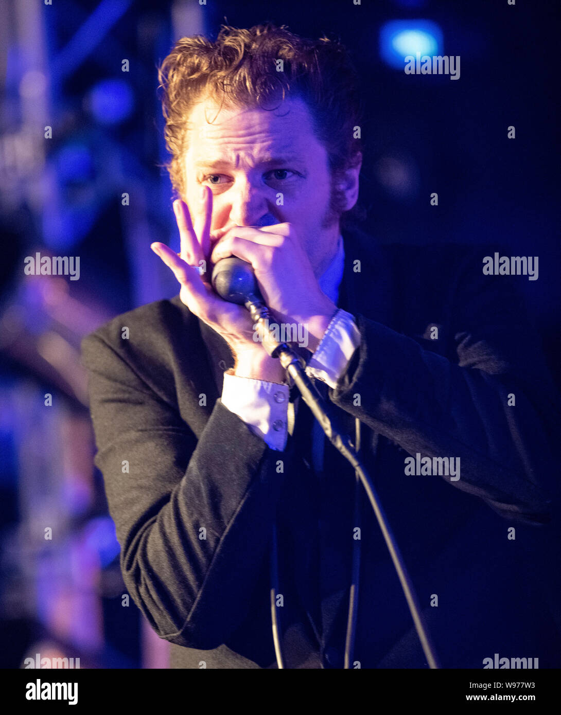 Daddy Long Legs Live in England Stock Photo - Alamy