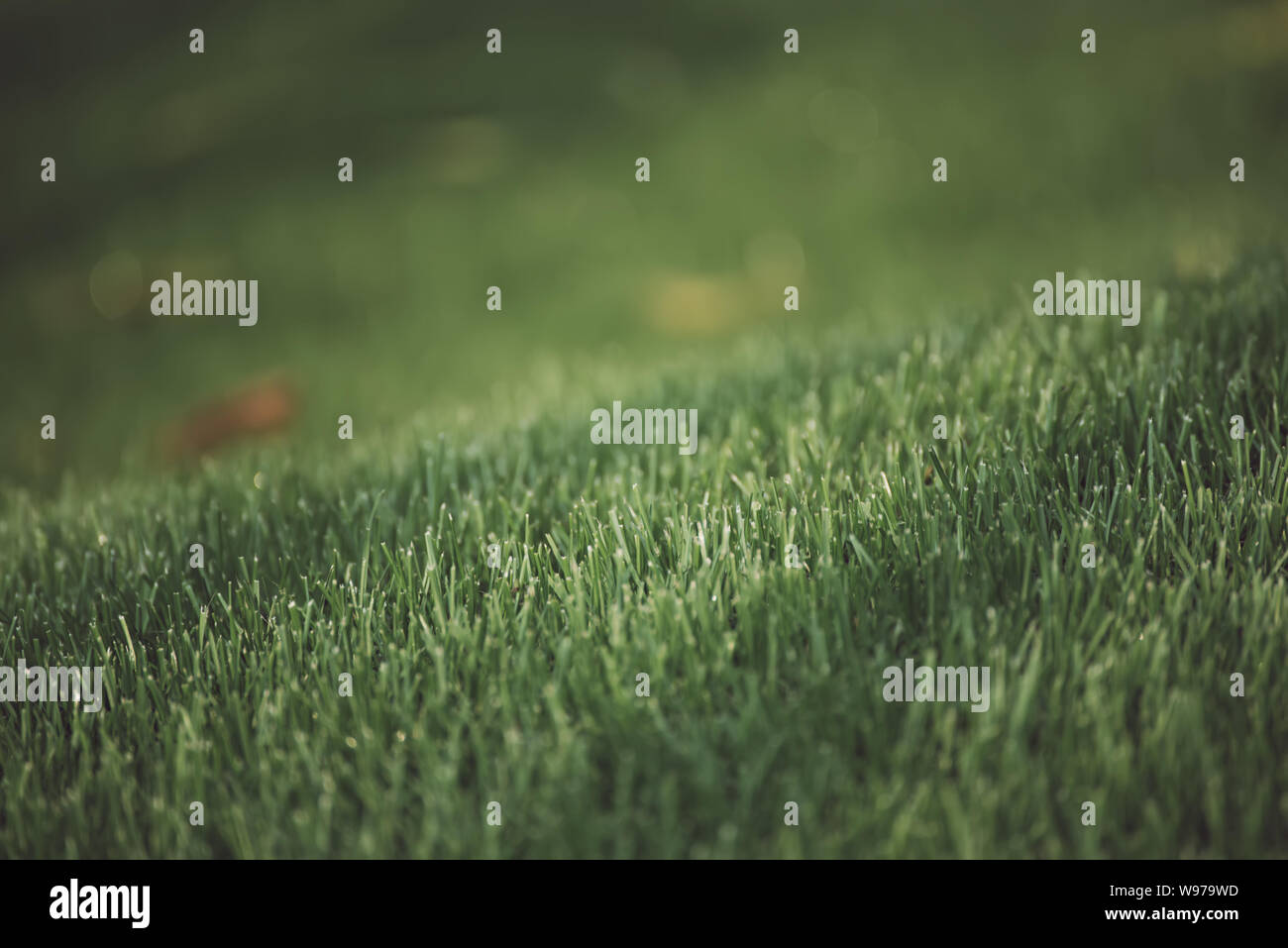 Natural abstract background Stock Photo - Alamy