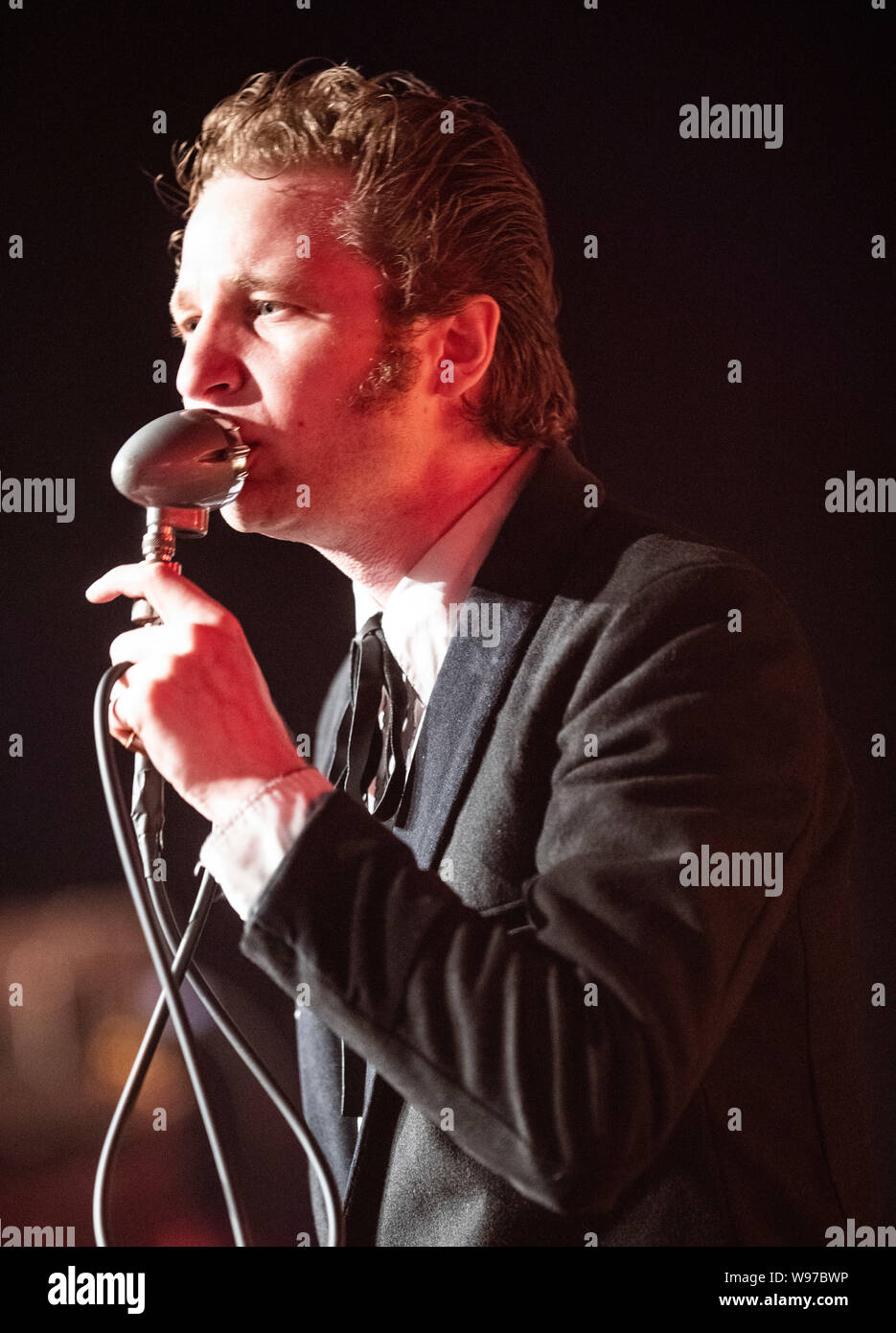 Daddy Long Legs Live in England Stock Photo - Alamy