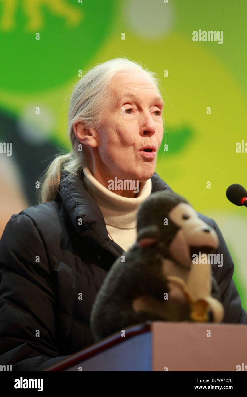 Jane goodall hi-res stock photography and images - Alamy
