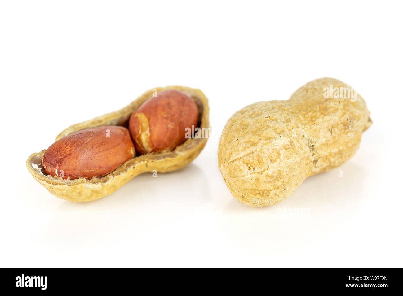 Group of two whole natural yellow peanut one is open in closeup ...