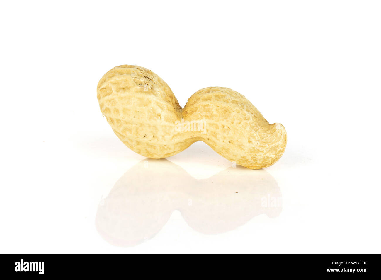 One whole curvy natural yellow peanut in closeup isolated on white ...