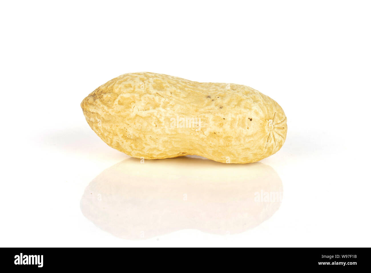 One whole natural yellow peanut in closeup isolated on white background ...
