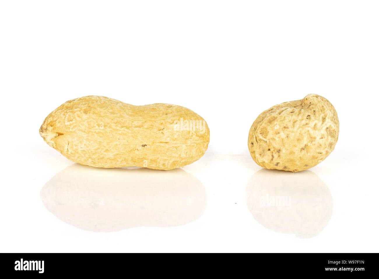 Group of two whole natural yellow peanut one is small isolated on white ...
