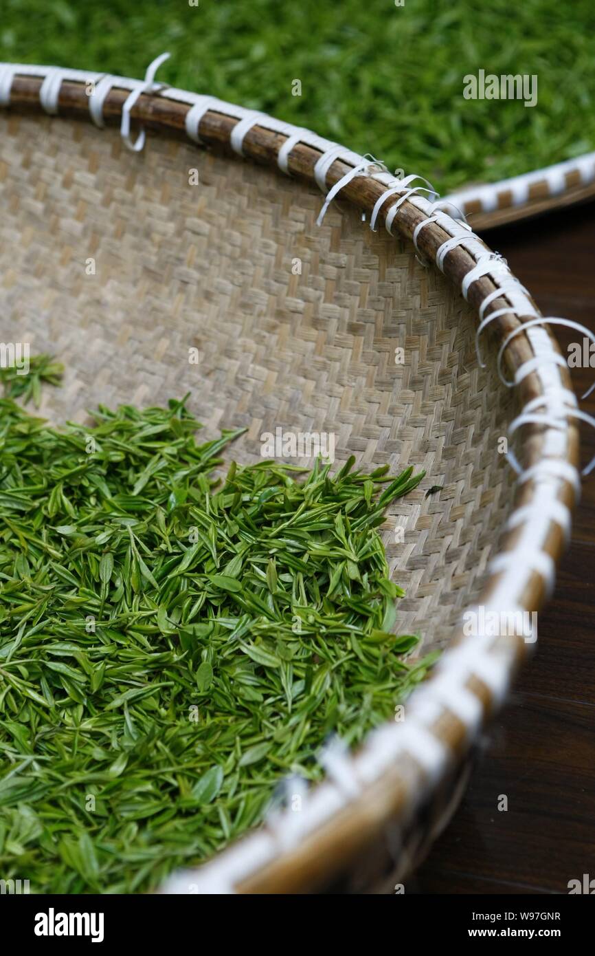 --File--Longjing tea is pictured in Hangzhou, east Chinas Zhejiang ...