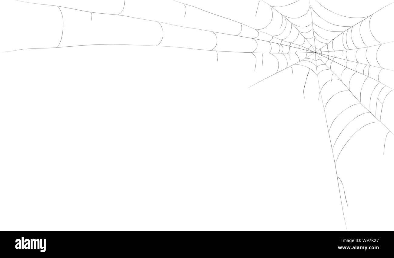 Spider's web frame. vector illustration, spiderweb backgound Stock ...