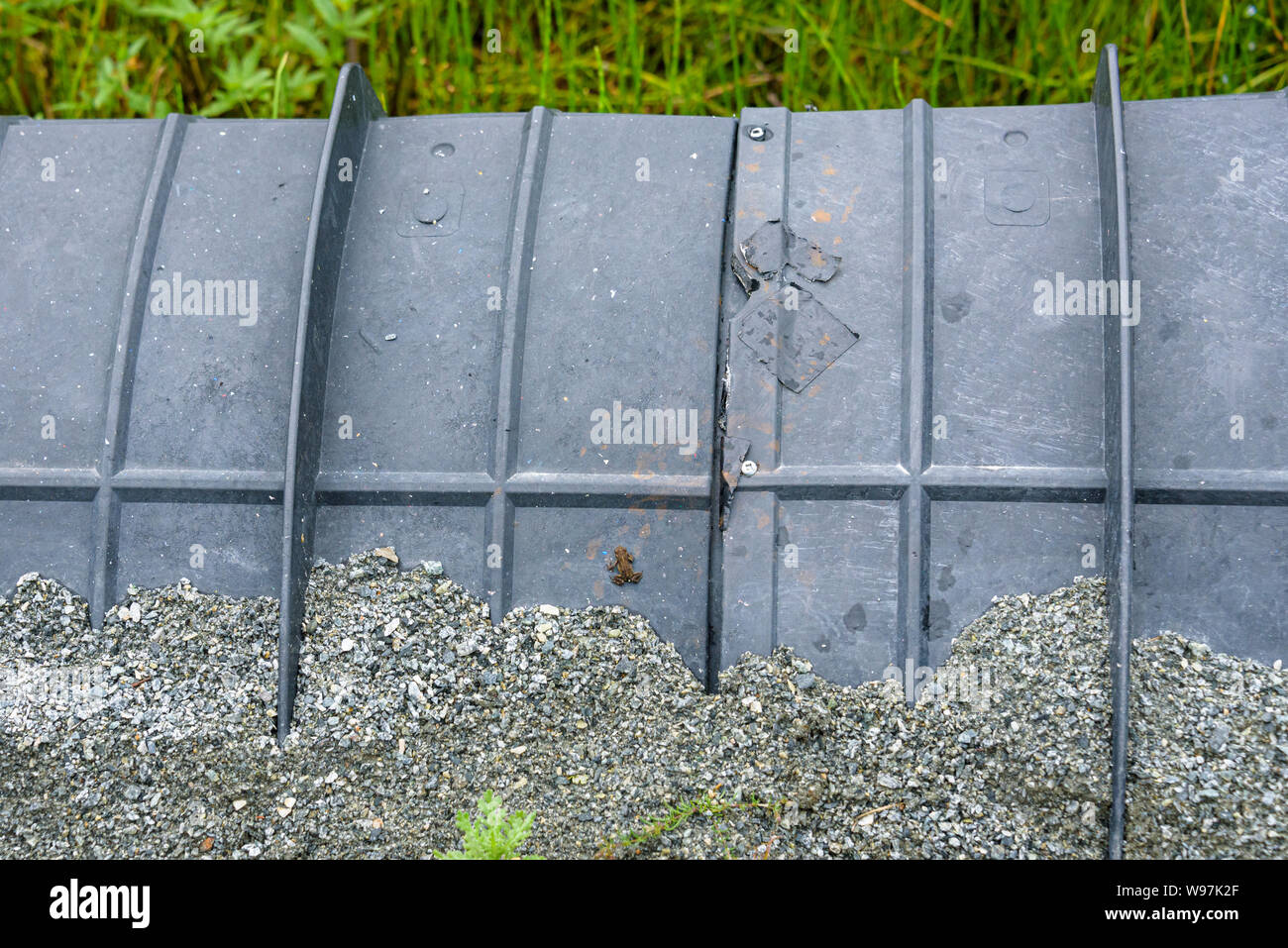 Culvert animal hi-res stock photography and images - Alamy