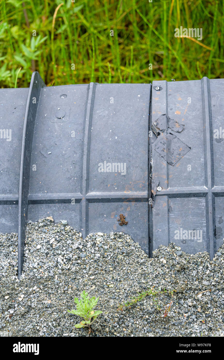 Culvert animal hi-res stock photography and images - Alamy