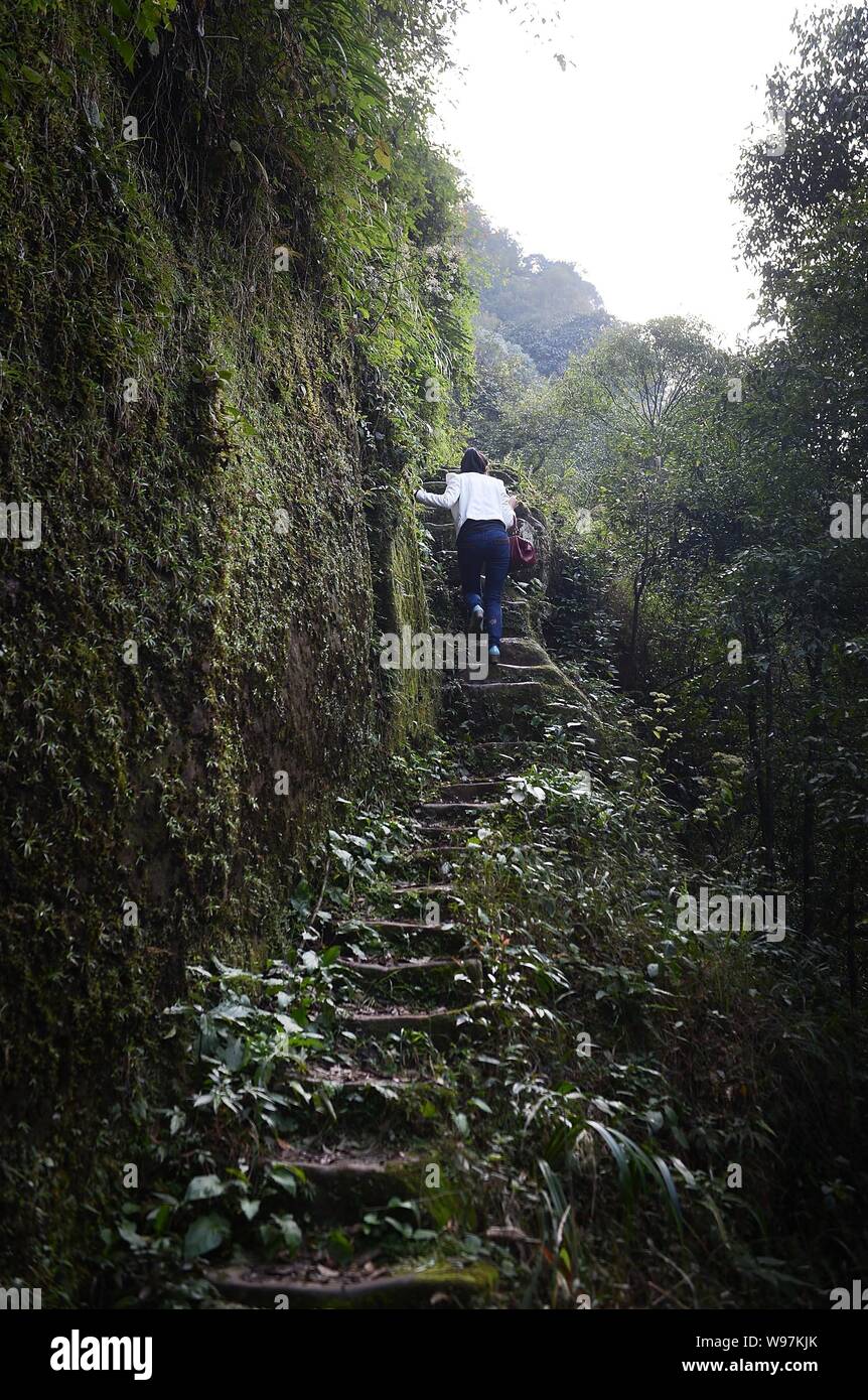 A visitor walks upstairs along the Love Ladder which Chinese man Liu ...