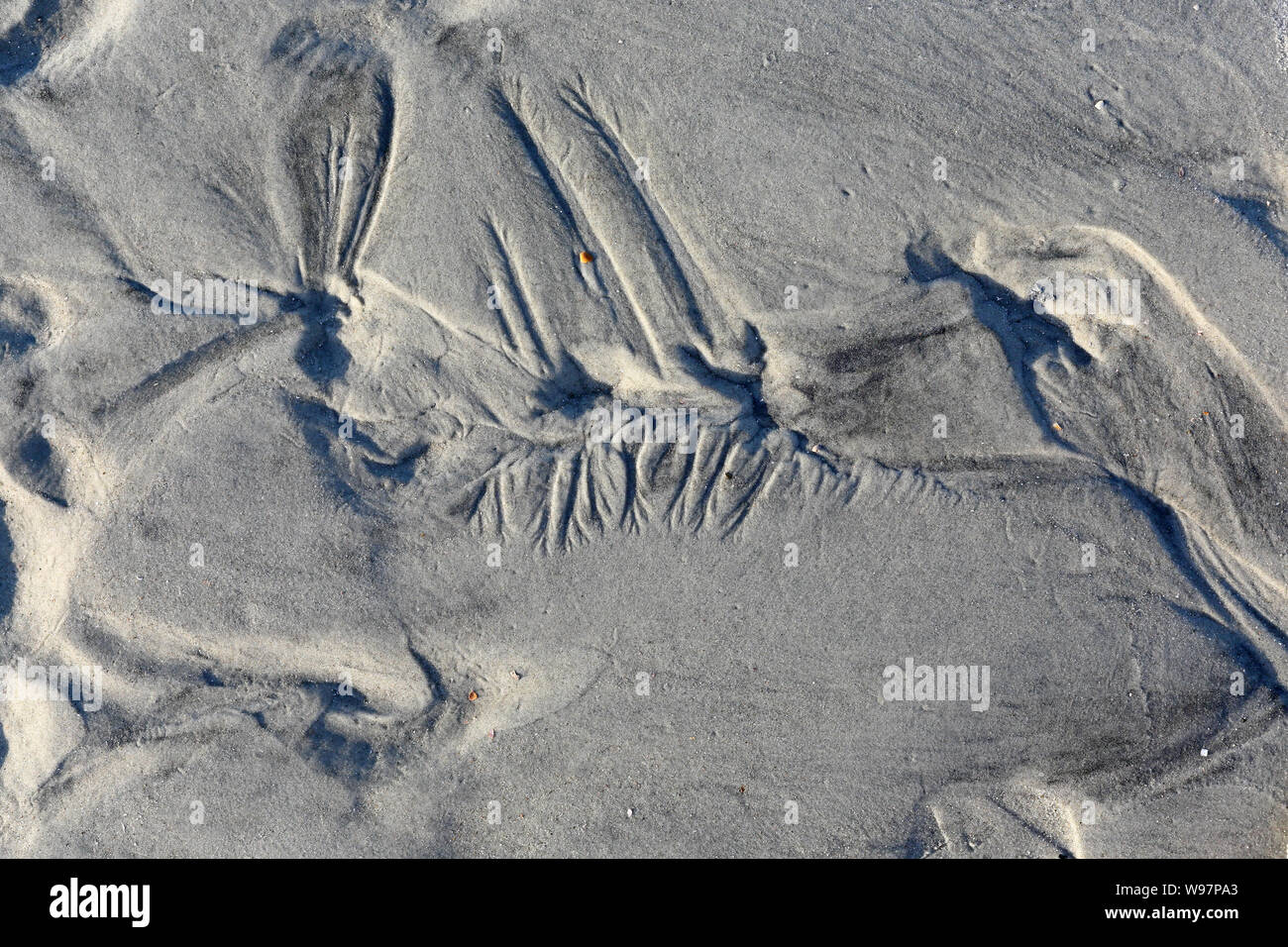 Pattern in the sand formed by waves and erosion Stock Photo - Alamy