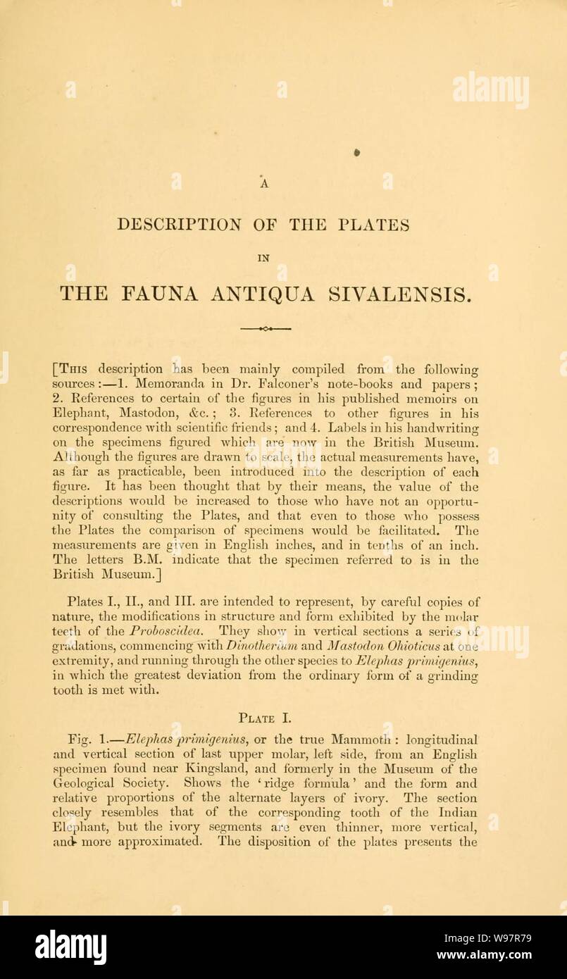Description of the plates of the Fauna antiqua sivalensis (Page 1 Stock ...