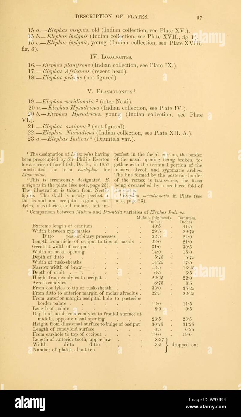 Sivalensis hi-res stock photography and images - Alamy