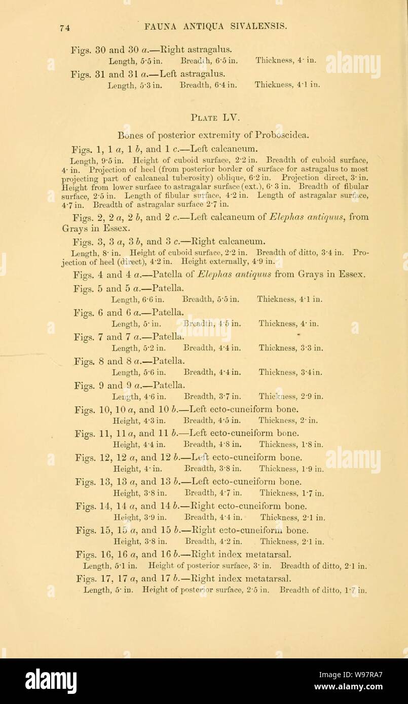 Description of the plates of the Fauna antiqua sivalensis (Page 74 ...