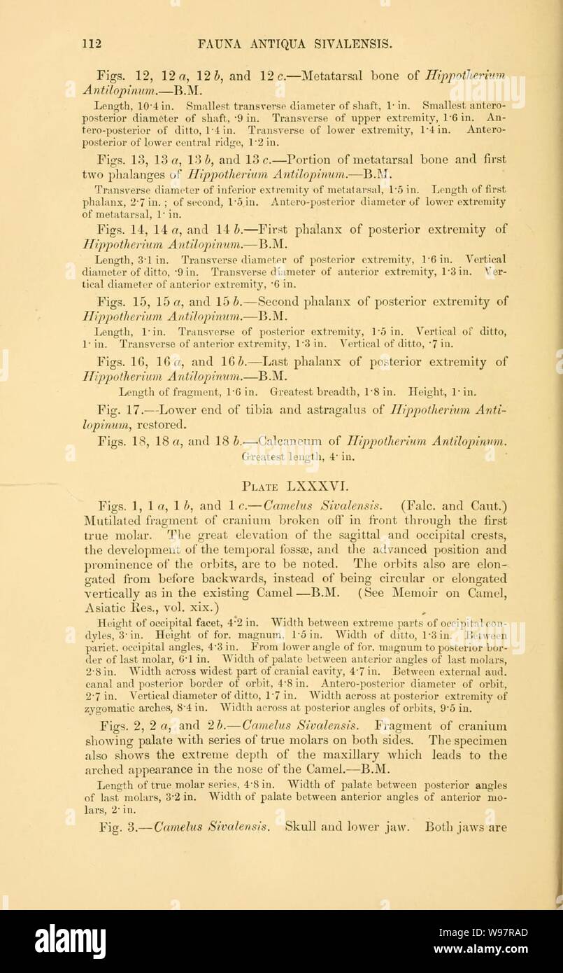Description of the plates of the Fauna antiqua sivalensis (Page 112 ...