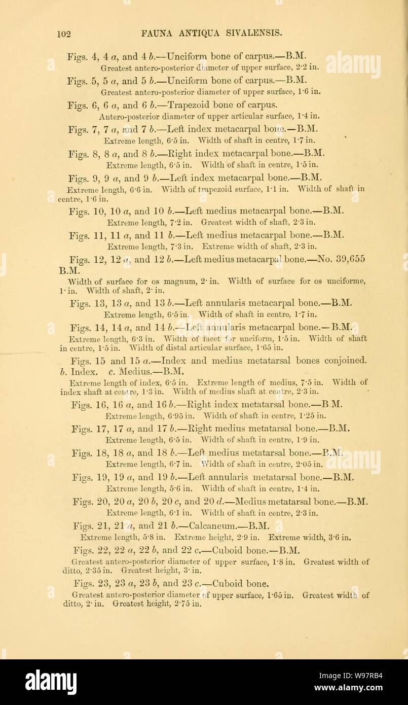 Description of the plates of the Fauna antiqua sivalensis (Page 102 ...